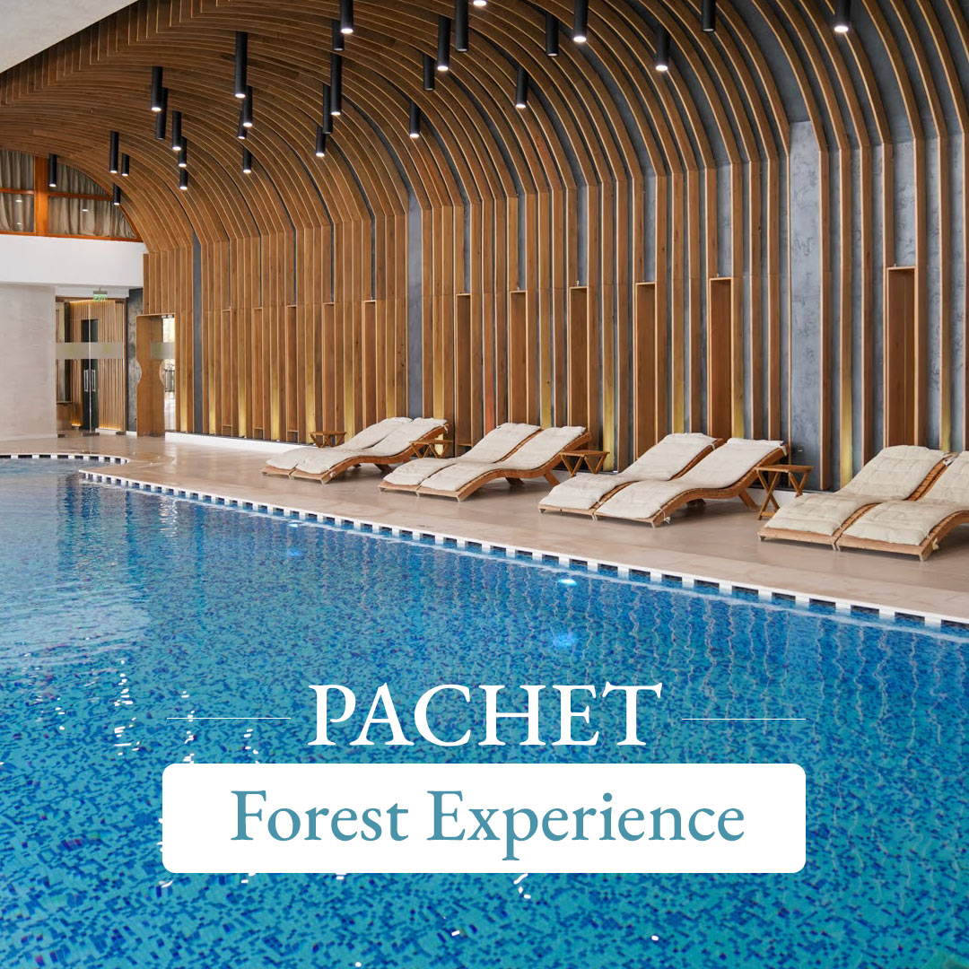 Forest Retreat & Spa